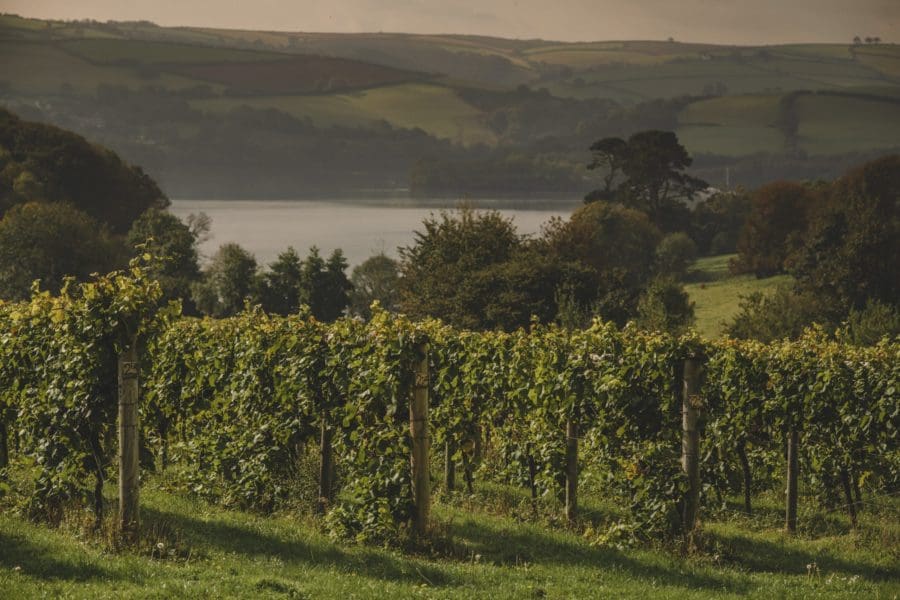 Sandridge Barton - The Home of Sharpham Wine, South Devon.