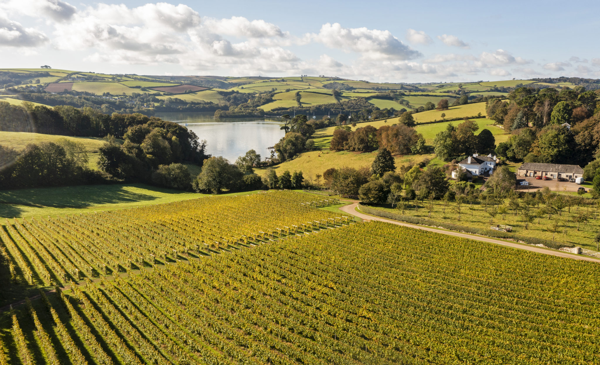 Devon’s Finest Wine Tasting & Tours - Sandridge Barton