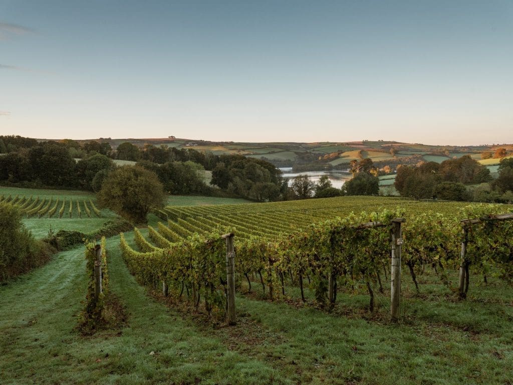 Sandridge Barton - The Home of Sharpham Wine, South Devon.